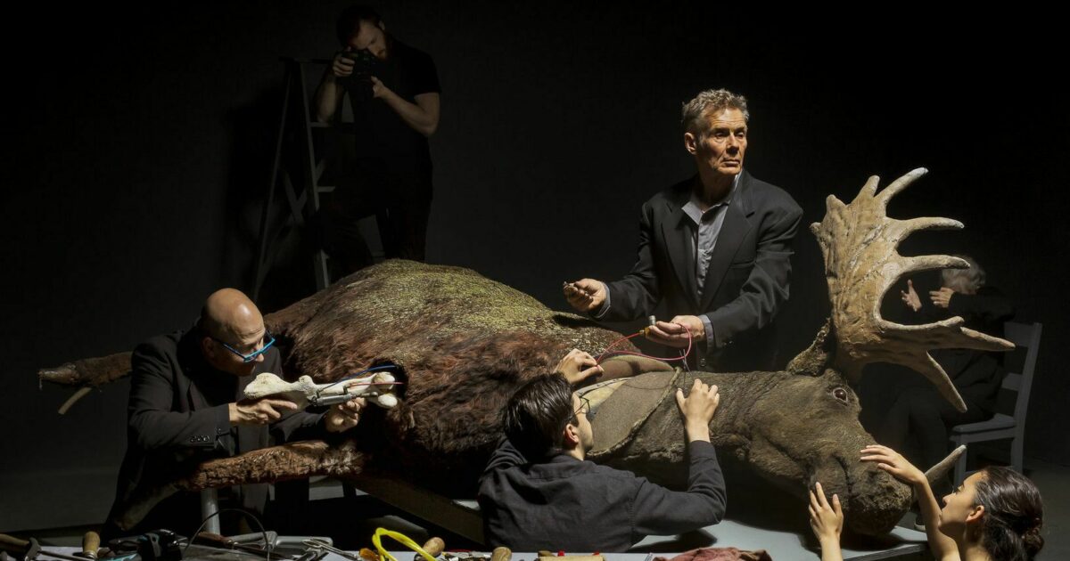 Still Max | International Festival of Films on Art