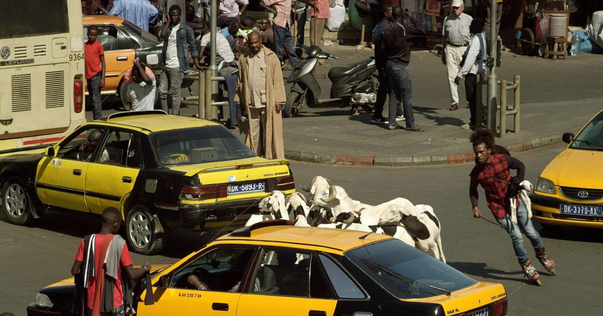 Tabaski | Festival International du Film sur l'Art