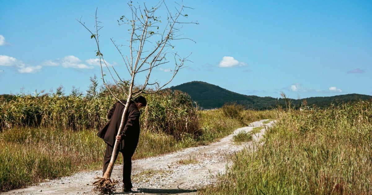 Trace of Time | International Festival of Films on Art